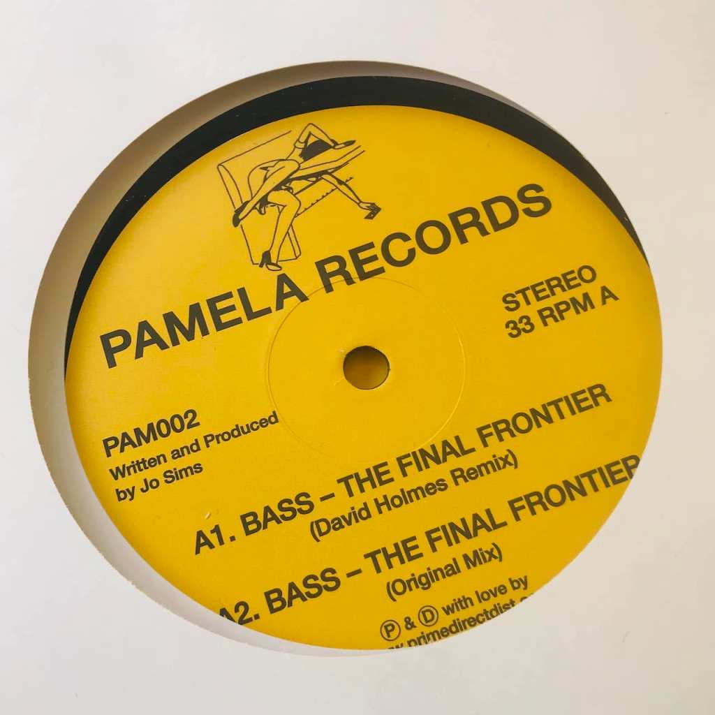 Jo Sims / Bass: The Final Frontier / Pamela Records – By Adam Turner ...