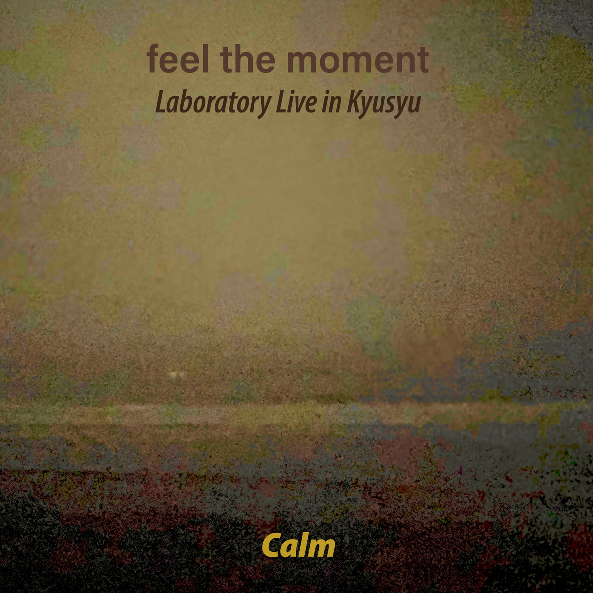 Calm / Feel the Moment: Laboratory Live in Kyushyu – Ban Ban Ton Ton