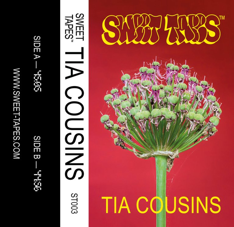 The Outsider Sound Of Tia Cousins – Interview By John Matthews – Ban ...